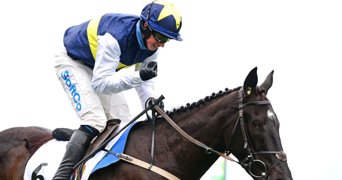 Cheltenham Tips: Best Each-Way Bets For Today