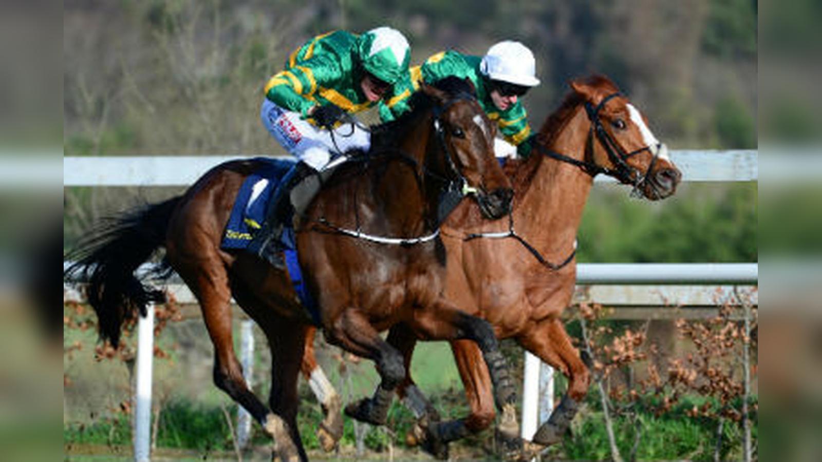 Five Things We Learned From The Dublin Racing Festival