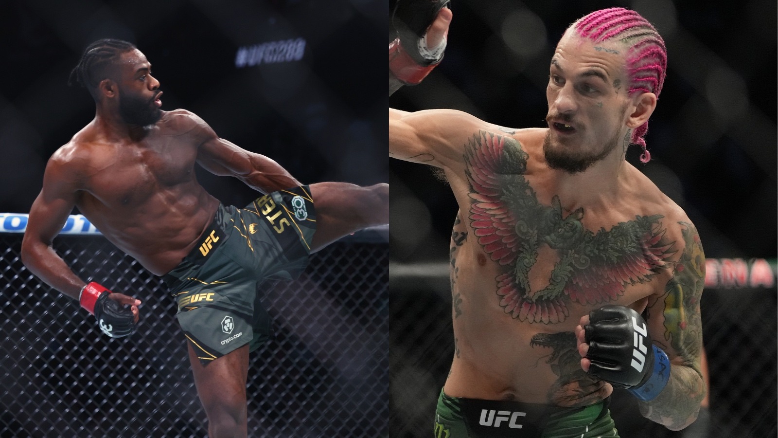 UFC 292 Odds, Picks & UFC Best Bets For Sterling-O'Malley This Saturday