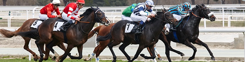 The Different Types of Bets Explained