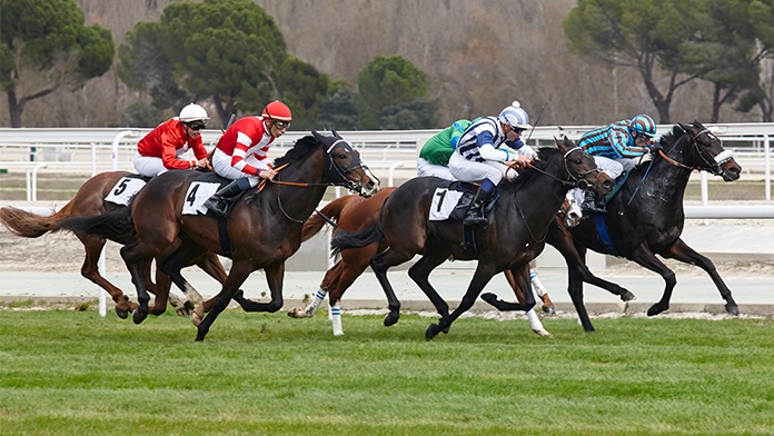 The Different Types of Bets Explained